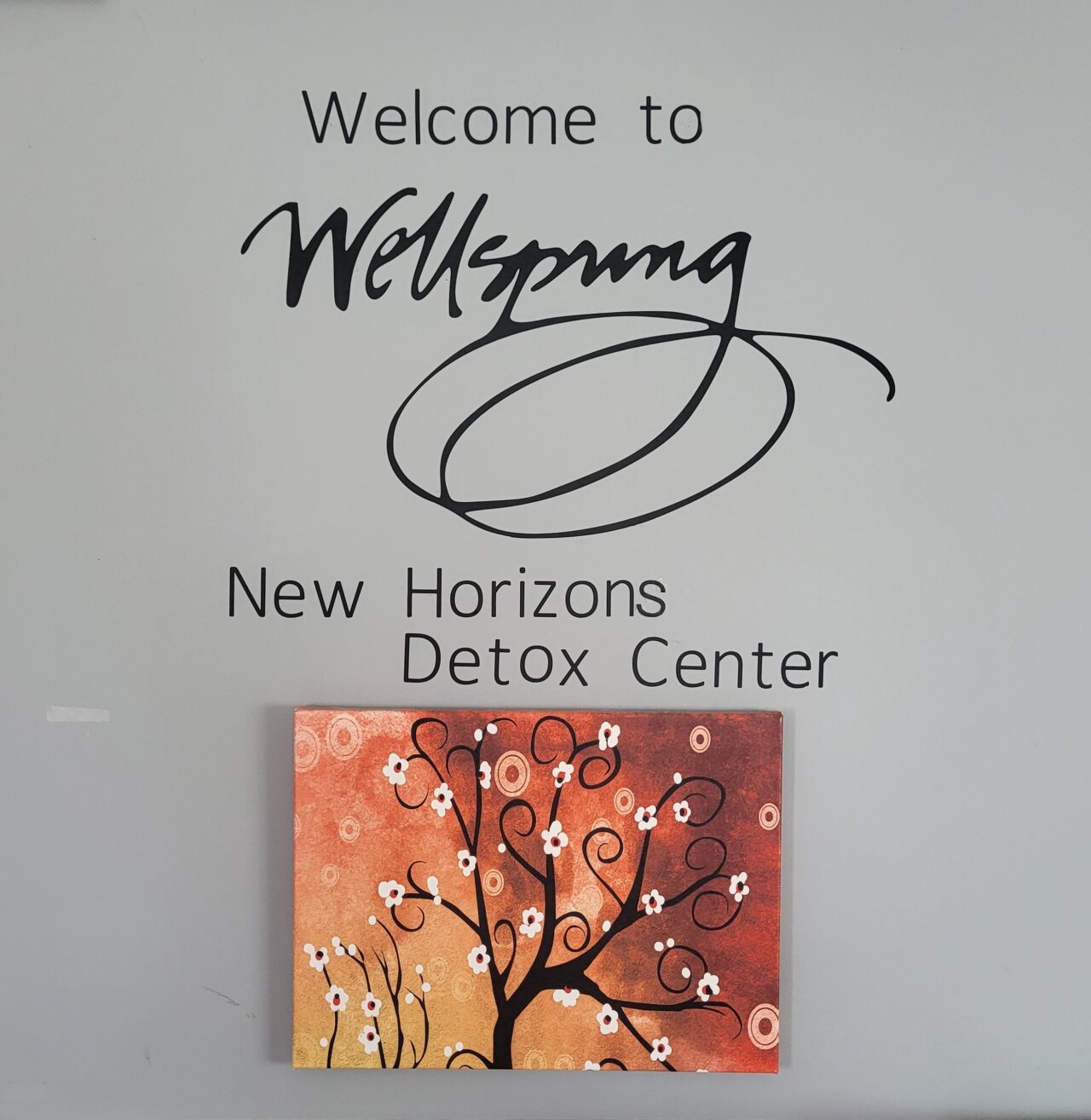 New Horizon Detox Center | Wellspring Substance Use and Co-Occurring ...
